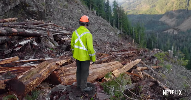 Kevin Wenstob Net Worth – Plus, 'Big Timber' Logger Salaries