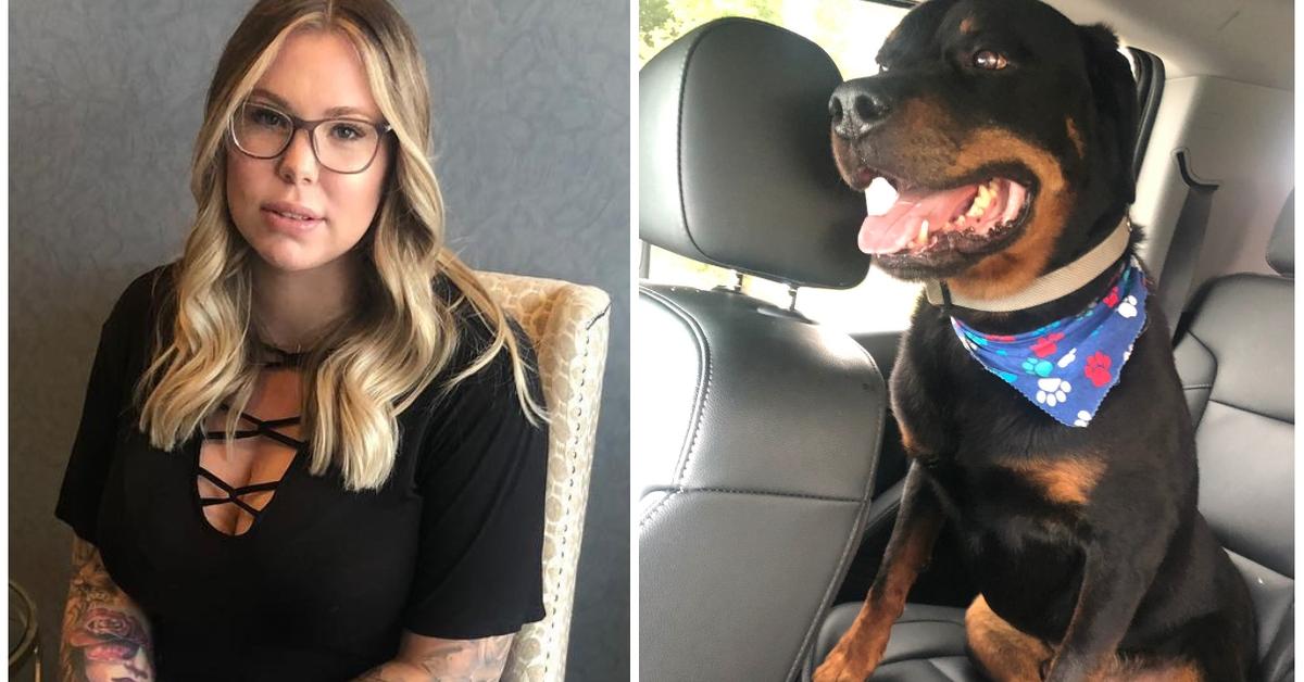 What Happened Kailyn Lowry's Dog Bear? And Meet Her New Pup