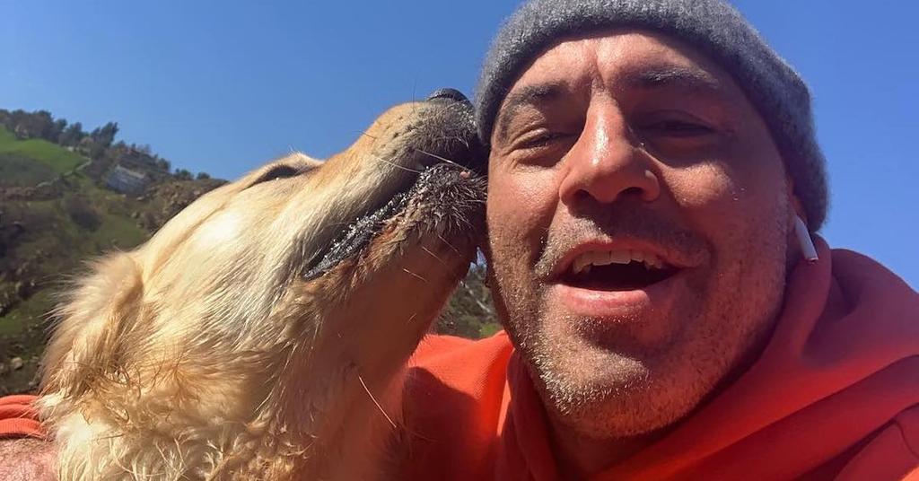 Who Is Joe Rogan's Wife? Meet Jessica Rogan!