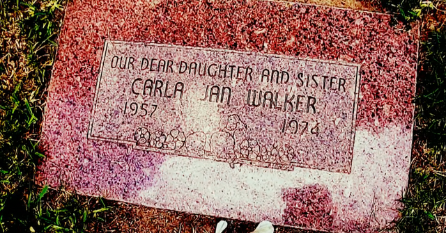 What Happened to Carla Walker? ‘Dateline’ Is Covering Her Story What Happened to Carla Walker? ‘Dateline’ Is Covering Her Story