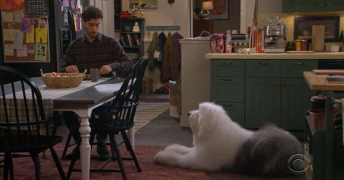 What Breed of Dog Is Cannoli on 'B Positive'? Get the Details!