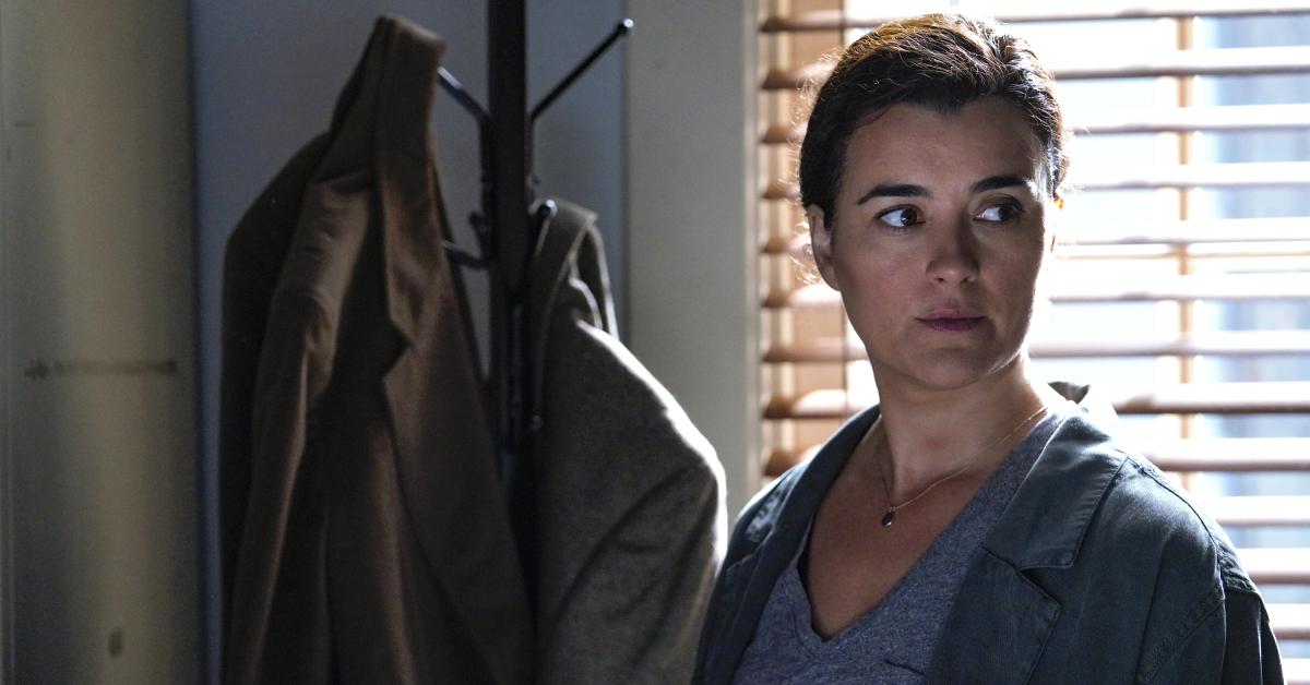 What Happened to Ziva on 'NCIS'? The Agent Has Been Through a Lot