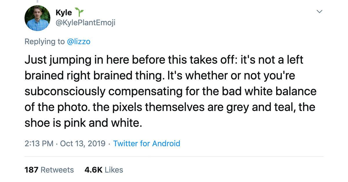 Does This Viral Shoe Pic Mean You're Right Or Left Brain Dominant?