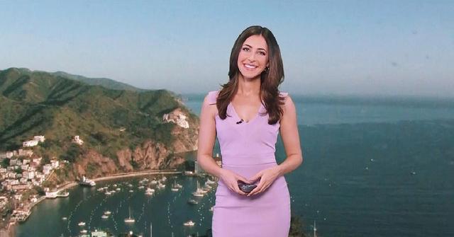 What Happened to Danielle Gersh on CBS? She's Starting a New Chapter.