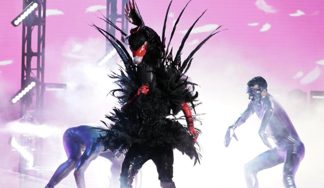 Who Is the Black Swan on 'The Masked Singer'? (SPOILERS)