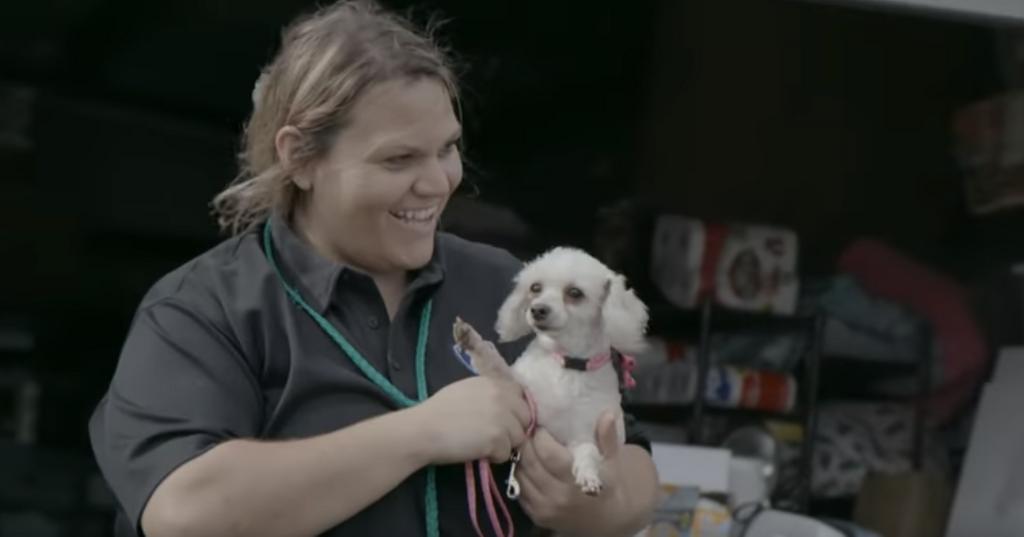 Accountant quits job to bring animal shelter's kill rate from 100 ...