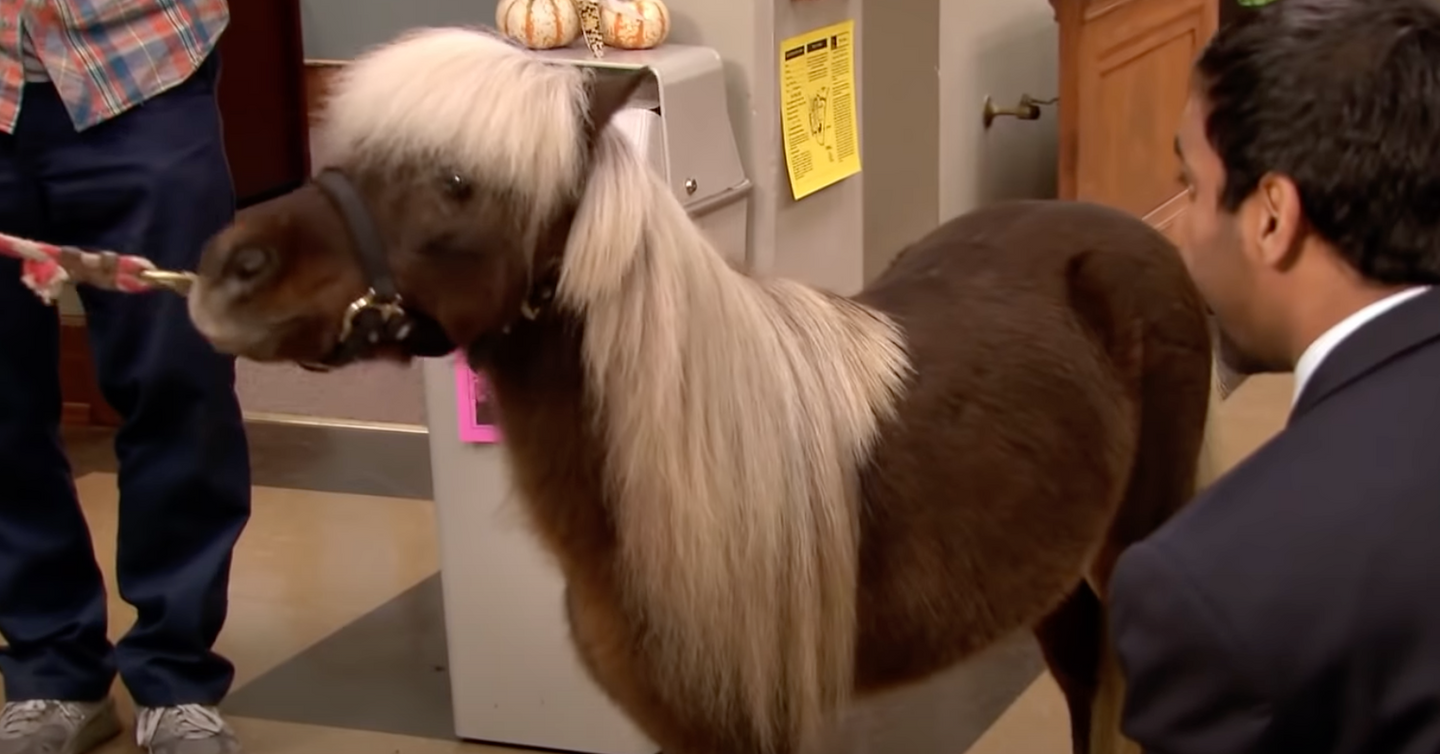 What Is the Release Date for Mouse Rat's "The Awesome Album"?