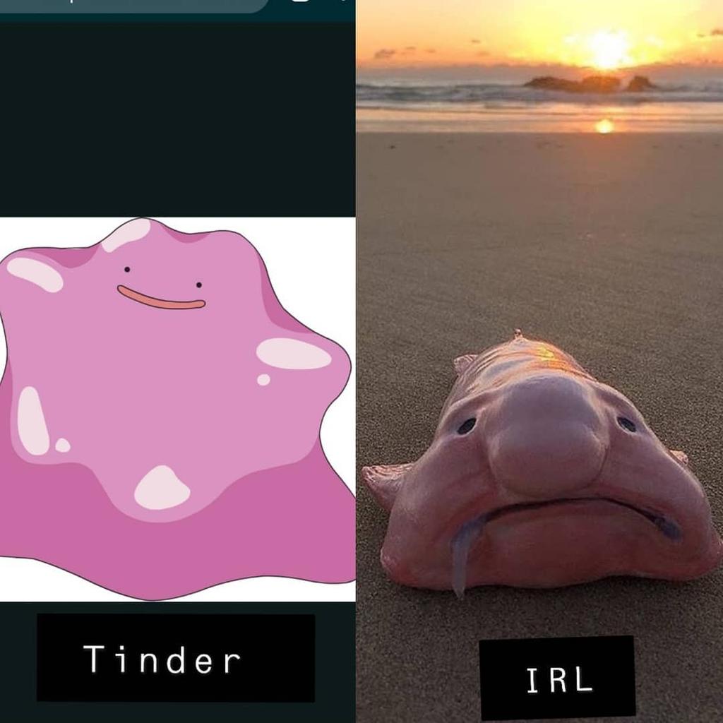 Dating App Memes All Singles Can Relate To