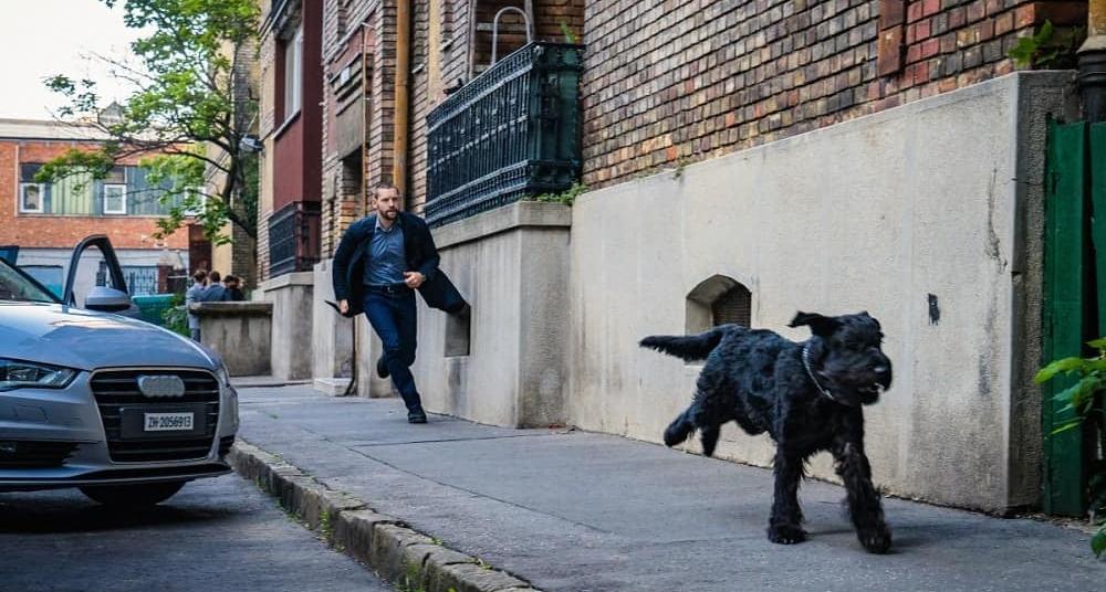 What Happened to Tank on ‘FBI: International’? The Dog Is in Danger