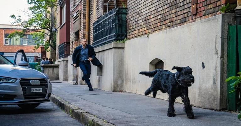 What Happened to Tank on ‘FBI: International’? The Dog Is in Danger