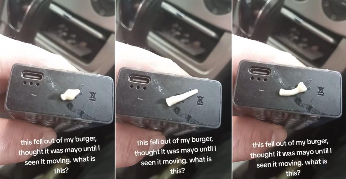 Man Finds Tapeworm in Burger, Thought It Was Mayo