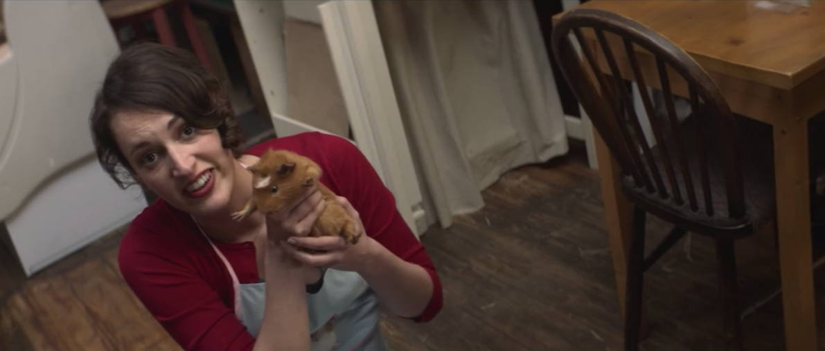 What Is Fleabag's Name? — Plus, Will There Be a Season 3?