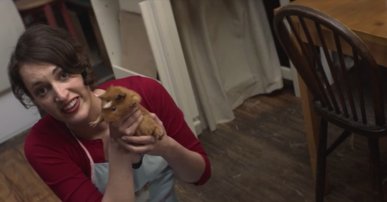 What Is Fleabag's Name? — Plus, Will There Be a Season 3?