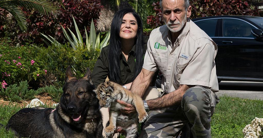 Mario Tabraue, Drug Dealer, Is Most Normal Person in 'Tiger King'