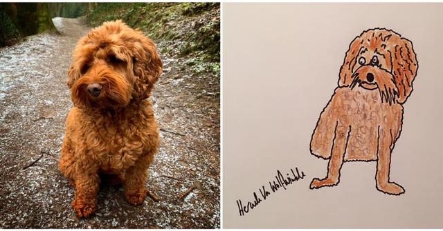 Man With Little Artistic Skill Draws Bad Pet Portraits for Charity