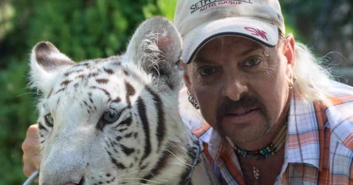 How Much Did the Cast of 'Tiger King: Murder, Mayhem, Madness' Make?