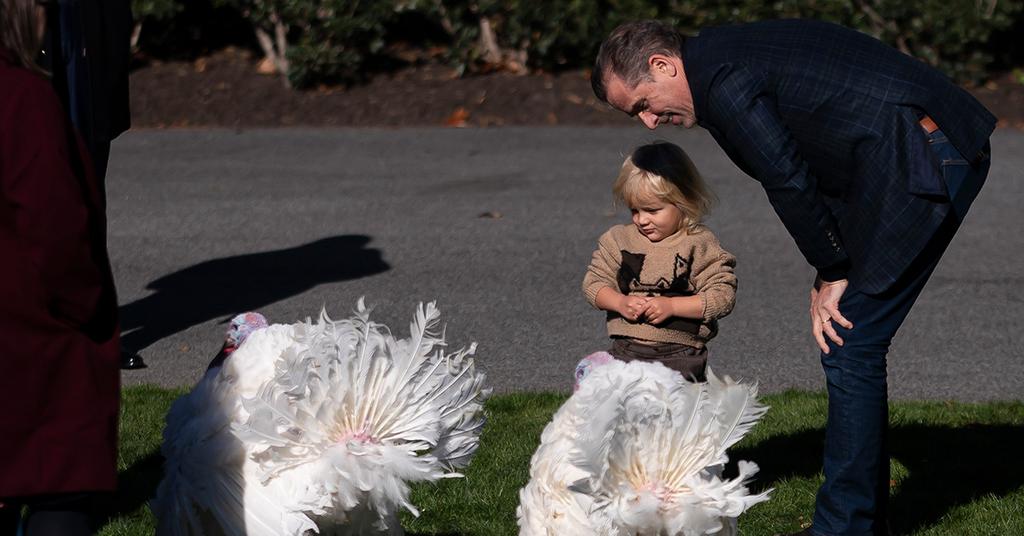 Who Are Hunter Biden's Children? He's a Father of Five