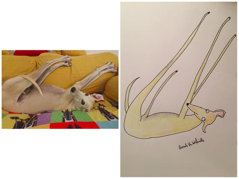 Man With Little Artistic Skill Draws Bad Pet Portraits for Charity