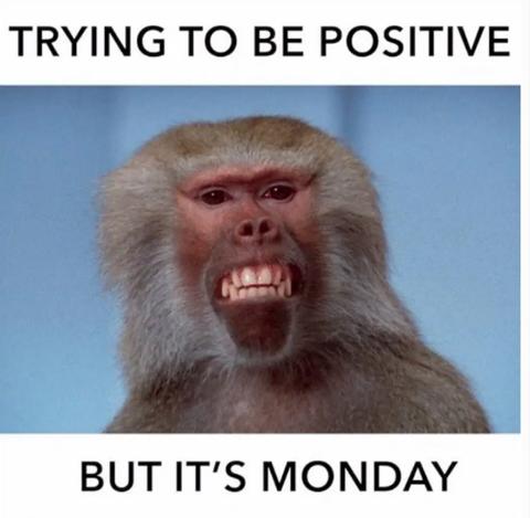 The Best Monday Sucks Memes: Share These on Social Media all Week Long