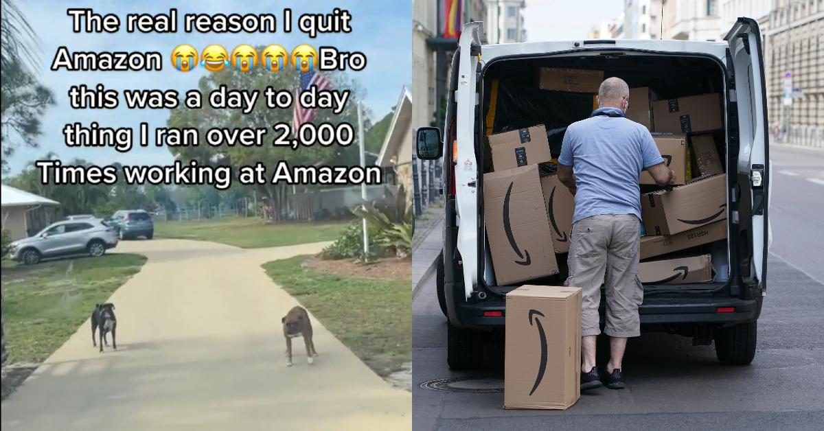 Amazon Delivery Driver Tired of Running From Dogs Quits Job