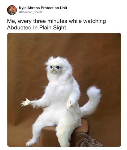 15 'Abducted in Plain Sight' Memes You Need to See