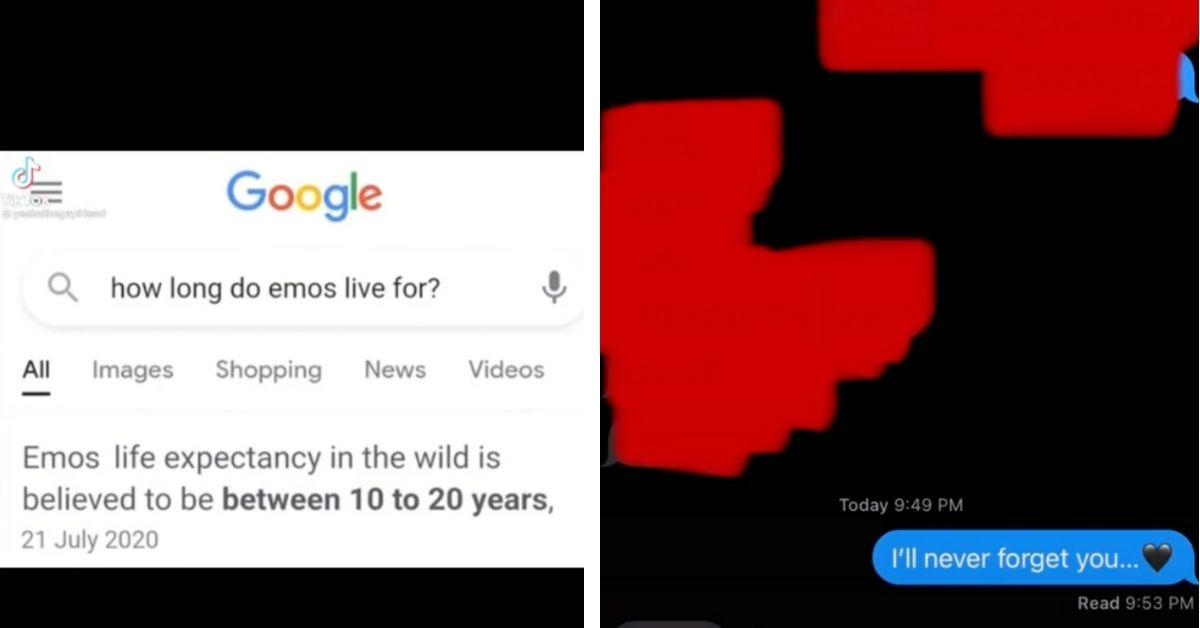 Here's the Deal With Those "How Long Do Emos Live?" TikTok Videos