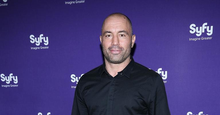 Joe Rogan's Children — Joe Is a Girl Dad to Three Daughters!