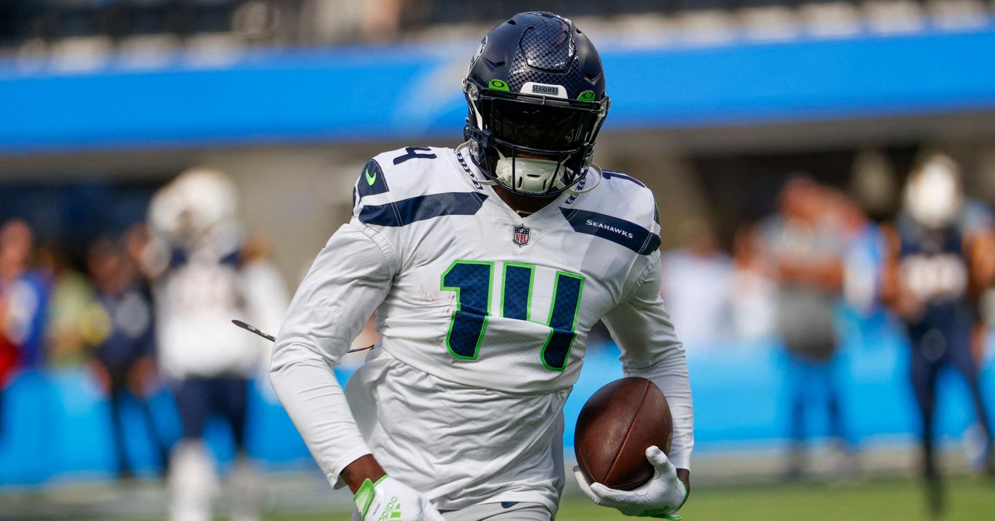 DK Metcalf Punched a Fan For a Confusing Reason