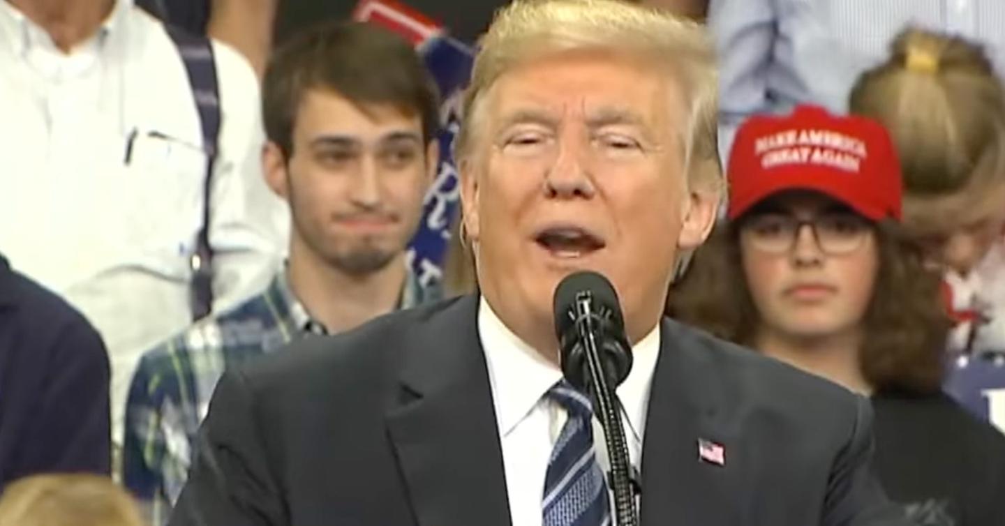 Inside the "Plaid Shirt Guy" Meme Born at a 2018 Trump Rally