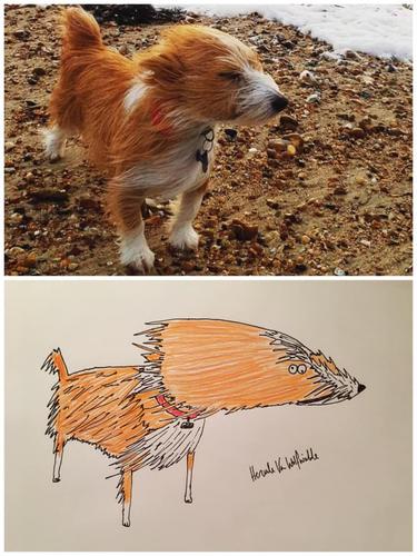 Man With Little Artistic Skill Draws Bad Pet Portraits for Charity