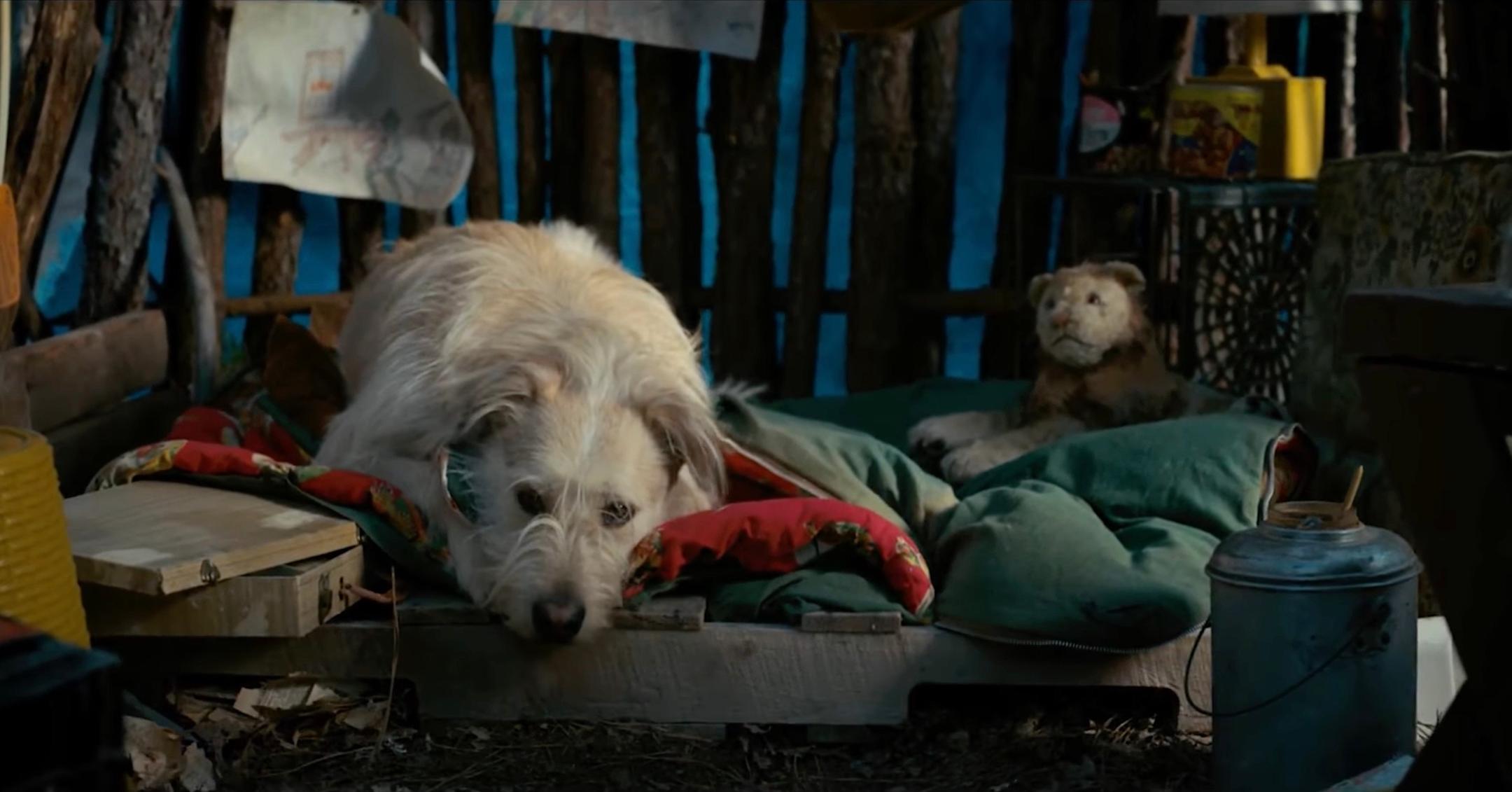 What Happened to Will Byers' Dog in 'Stranger Things'?