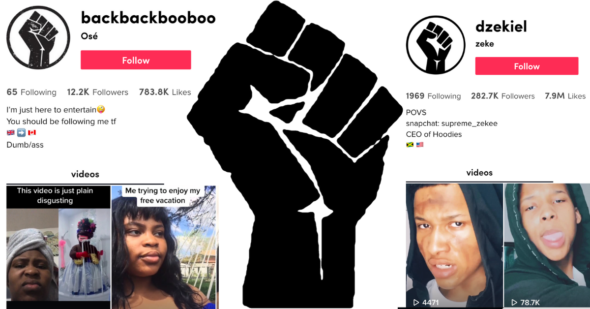 The Image of the Black Fist in TikTok Profile Pictures Represents BLM