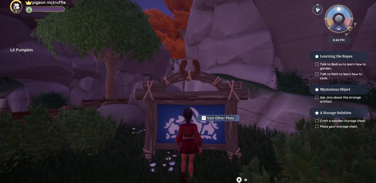 How to Play With Friends in Palia