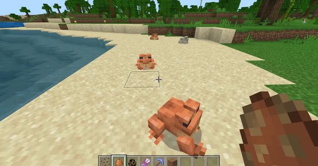 Where Do Frogs Spawn in 'Minecraft'? Plus: How to Tame
