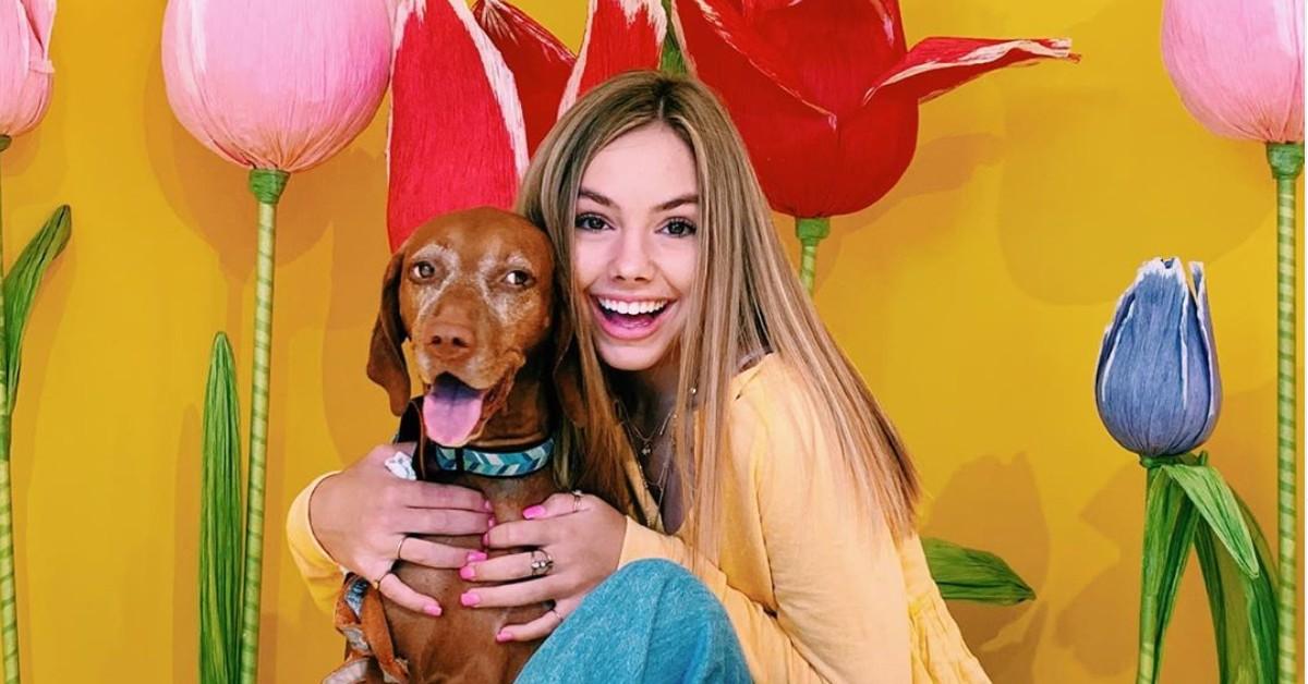 Where Does Alex French Live? What Should We Know About the TikTok Star?