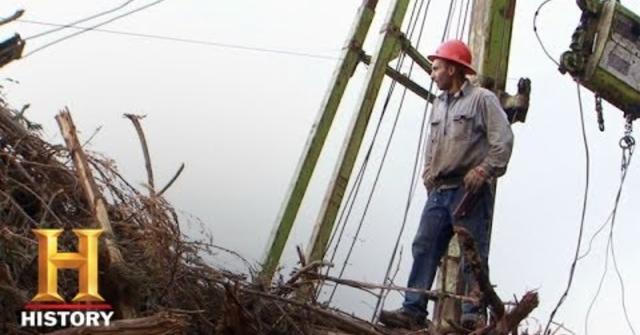 Is Rygaard Logging Still in Business After 'Ax Men' Star's Passing?