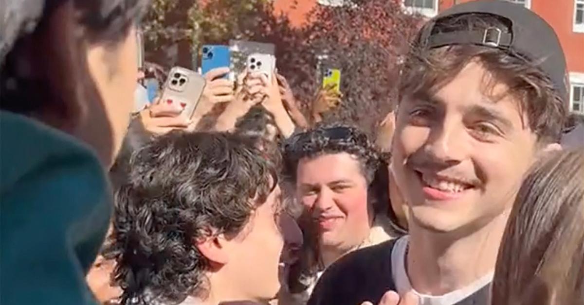 The Timothée Chalamet Look-Alike Contest Ended in an Arrest