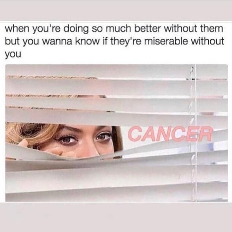 23 Cancer Season Memes You'll Find Astonishingly Relatable
