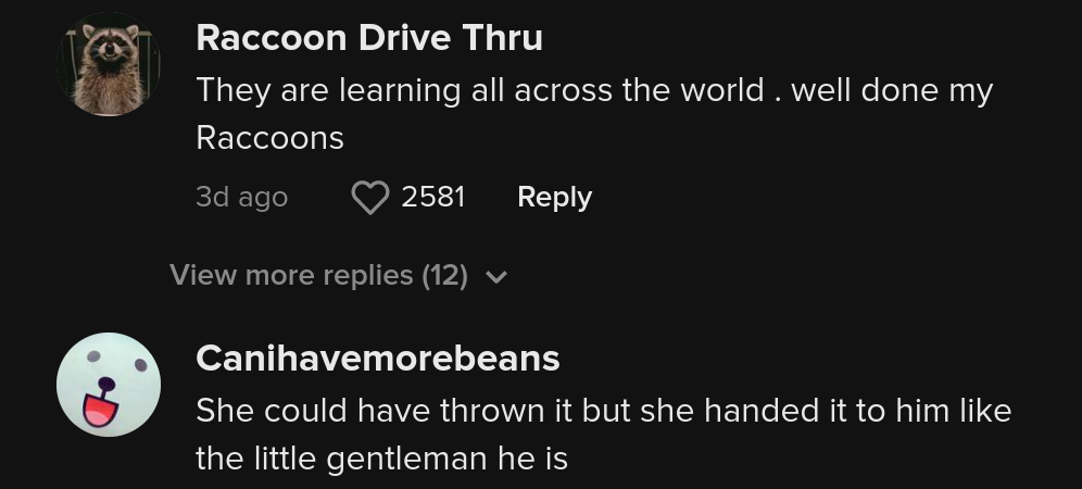 Raccoon Charms Customer with Impeccable Manners at Dunkin' Drive-Thru