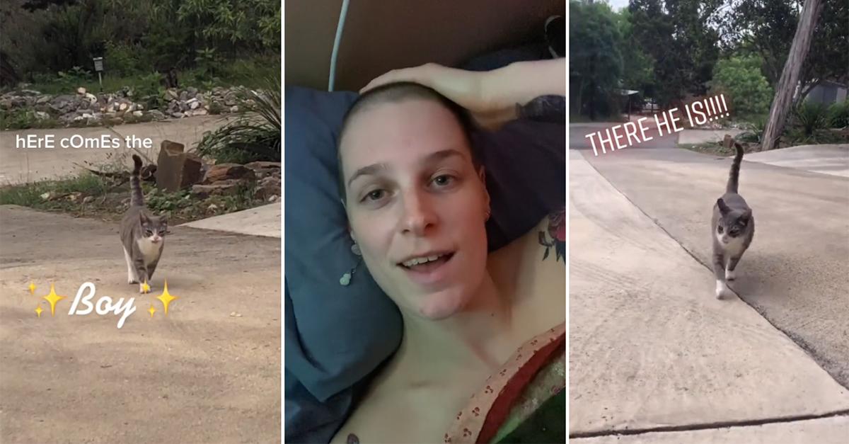 What Is The "Here Comes the Boy" Tiktok Creator up to Now?