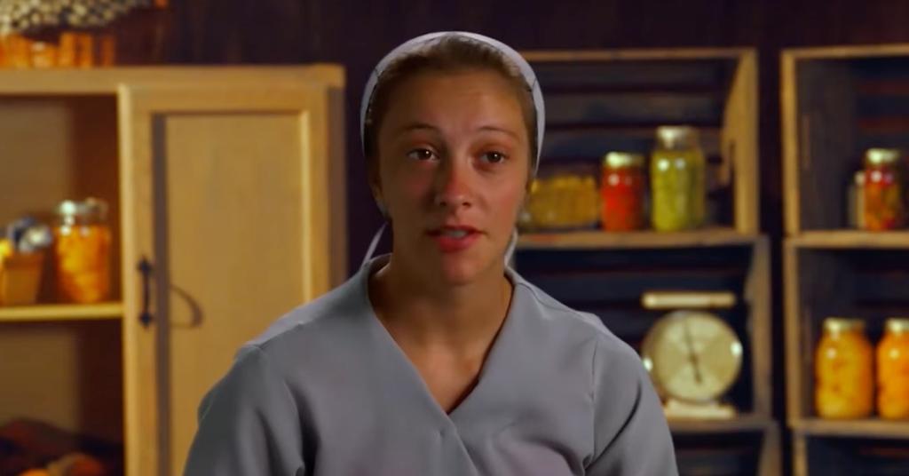 Rosanna's Brother Ray Appears in 'Return to Amish' Season 7