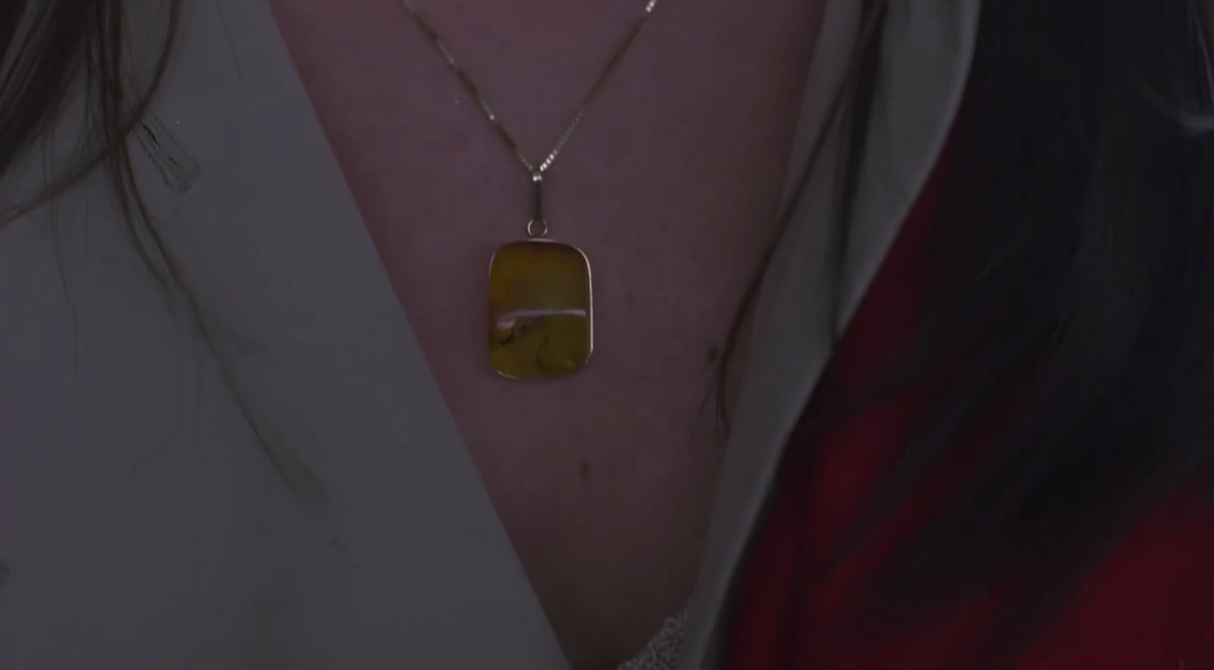 What Happened to Amber on 'House'? A Look Back at the Character's End