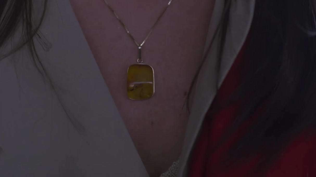 What Happened to Amber on 'House'? A Look Back at the Character's End