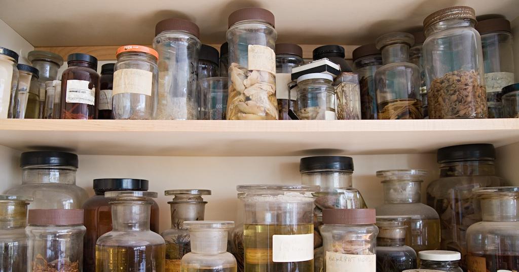 Woman Finds Expired Food in Her Grandmother's Pantry