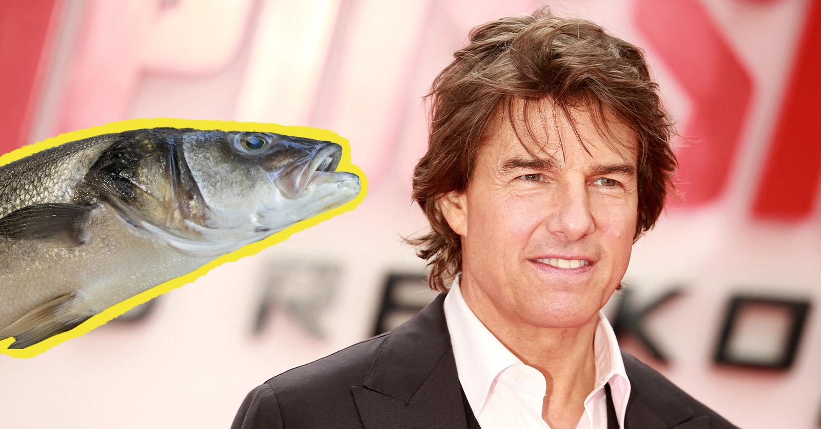 Inside the NSFW Tom Cruise Fish Lore