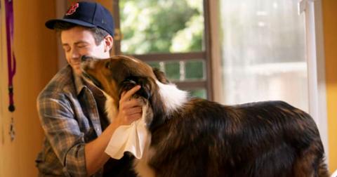 Is 'Rescued by Ruby' a True Story? Details on Grant Gustin Netflix Film