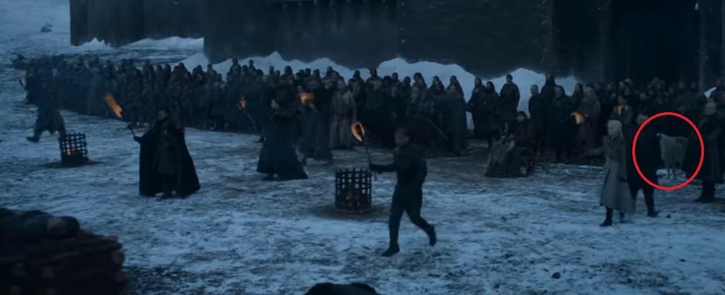 Is Ghost Dead In Game of Thrones? What Happened To The Direwolves.