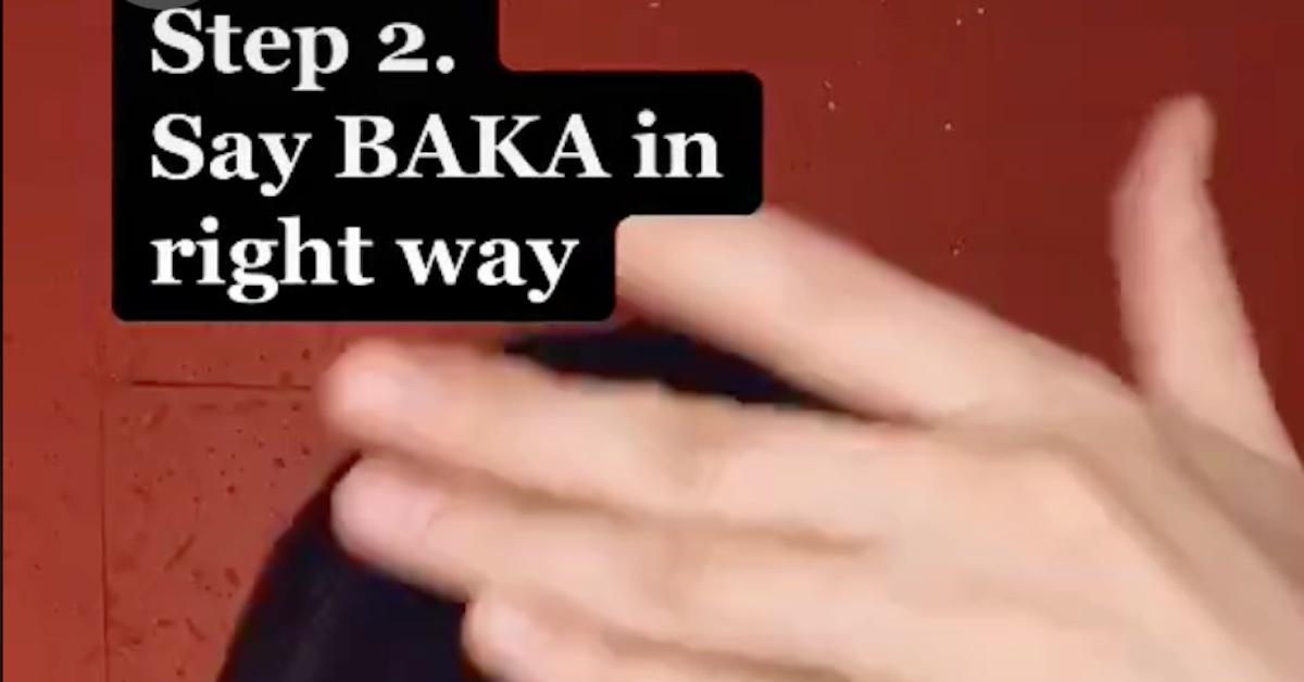 What Does Baka Mean in TikTok? Creators Have Questions