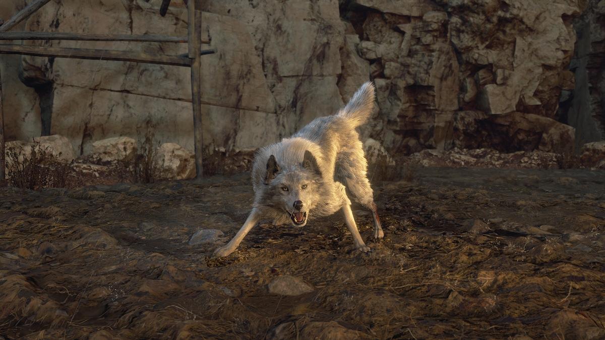 Can You Rescue the Dog in 'Resident Evil 4' Remake? Answered