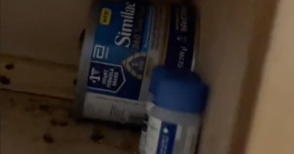 Woman Goes Viral After Sharing Cockroach Infested Apartment